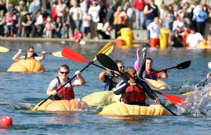 Windsor Pumpkin Regatta | Amusing Planet